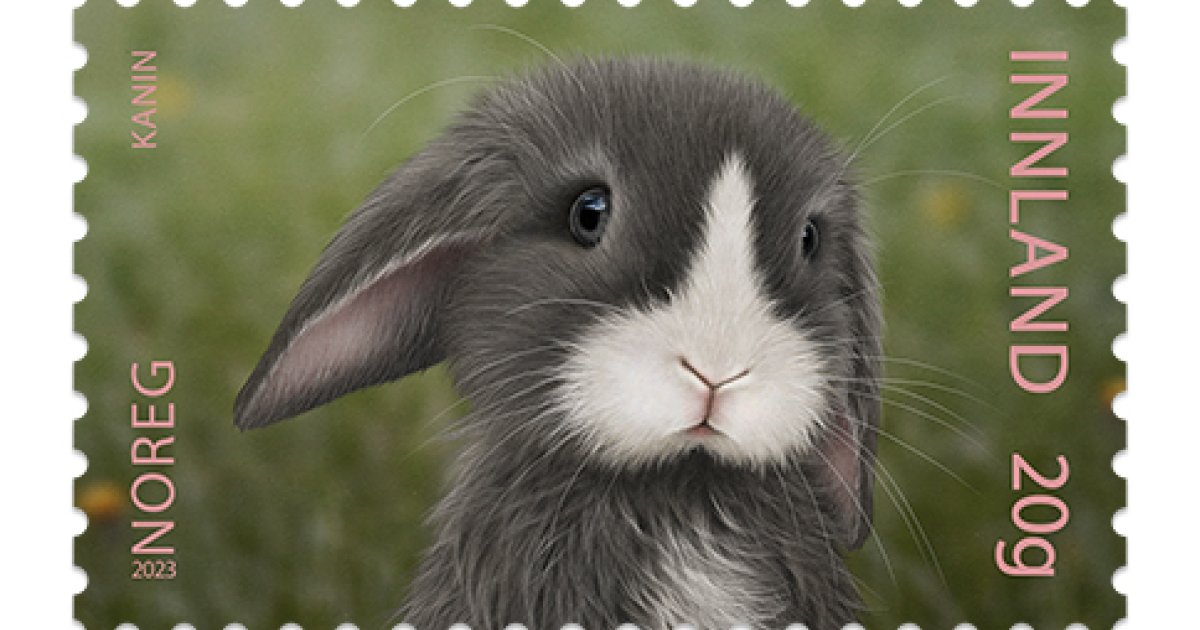 Issue 7 November 2023 Domesticated Animals/Pets - Posten.no/en